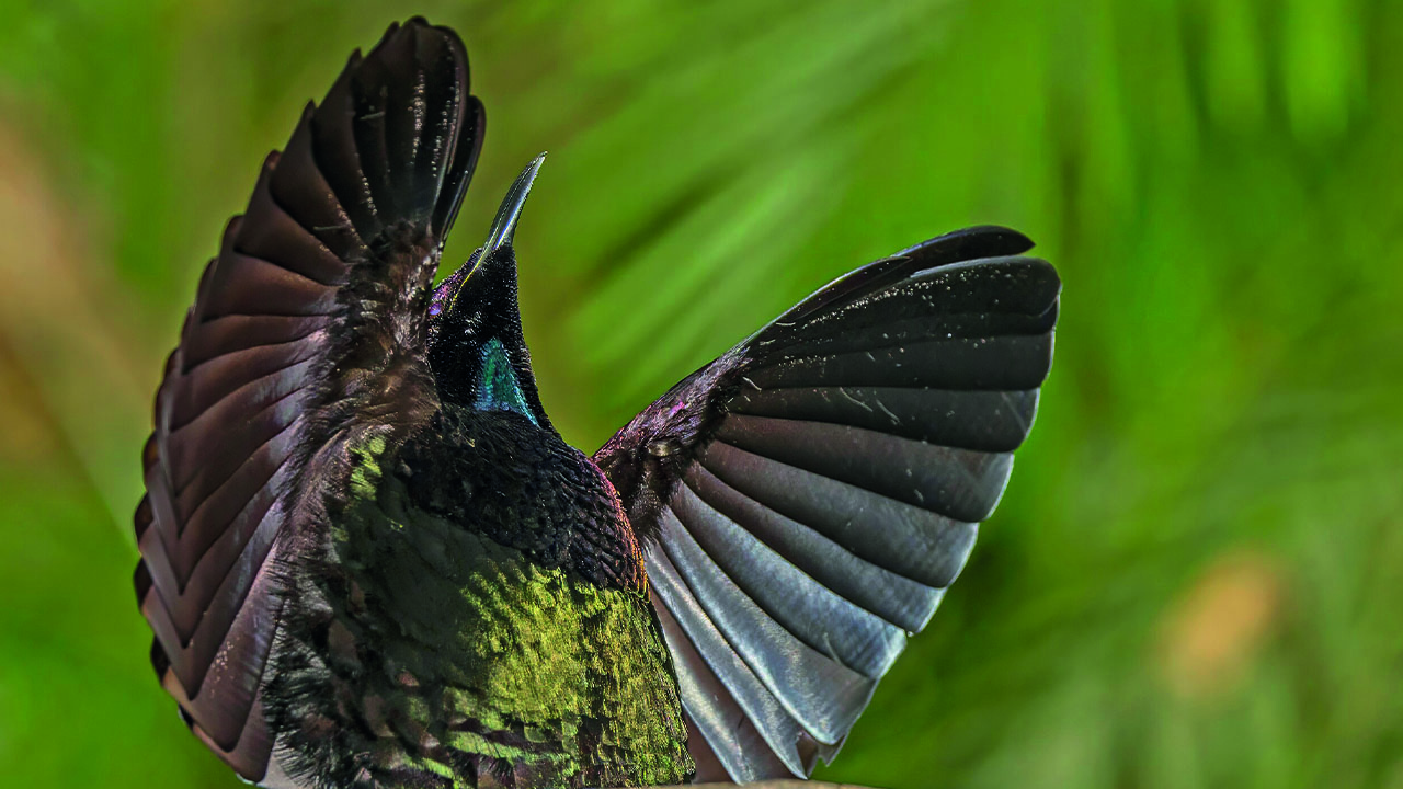 PIL - Revija za najstnike z dolgoletno tradicijo.